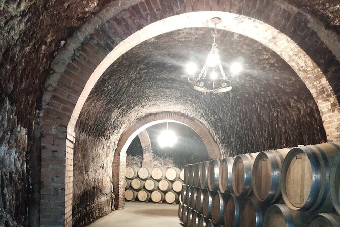 Private Wine Tasting And Visit Tour in Ribera Duero - FAQ