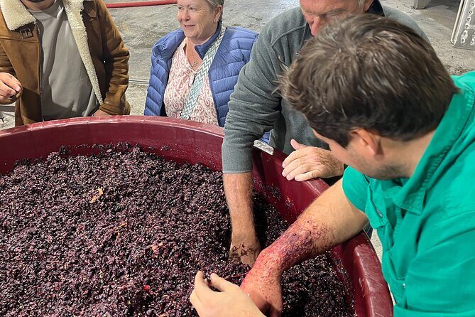 Private Wine Tasting Experience - Key Points