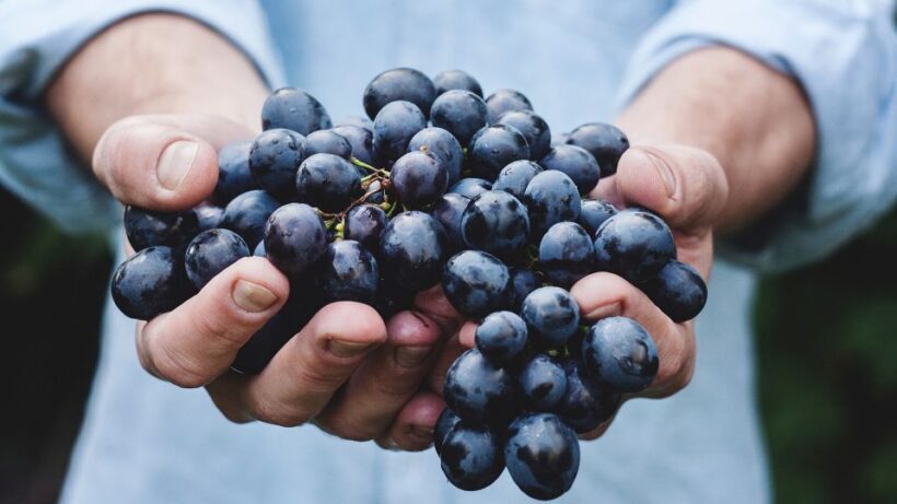 Private Wine Tasting Experience in Athens - What’s Included and How It Adds Value