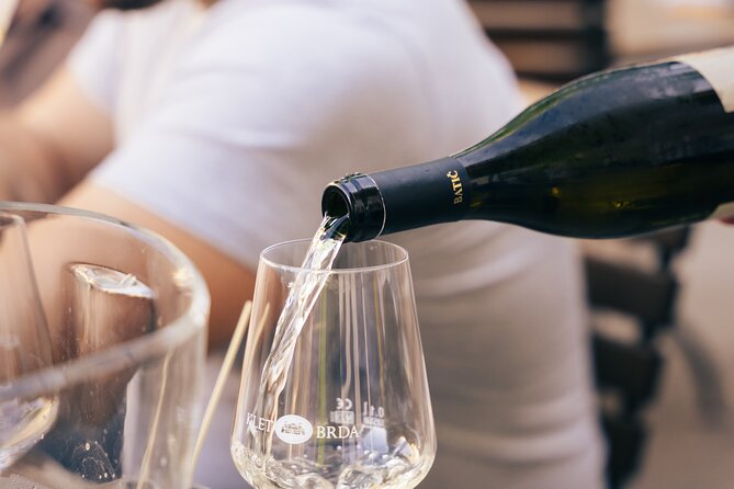 Private Wine Tasting Experience in Ljubljana - Introduction