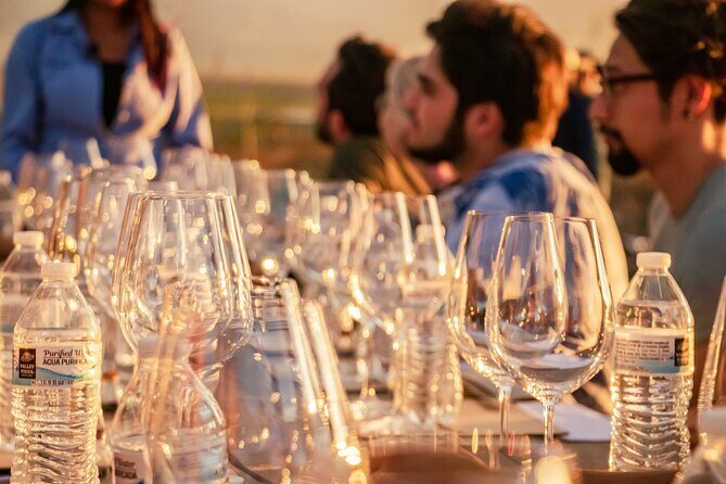 Private Wine Tasting Experience in Parras de la Fuente - A Detailed Look at the Experience