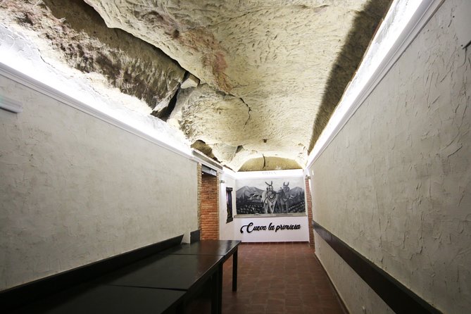 Private Wine Tasting in San Vicente de la Sonsierra - Authentic Experiences Based on Guest Feedback