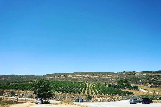 Private Wine Tasting & Lunch @ Lyrarakis Winery - Transfer Inclu - Customer Feedback and Reviews
