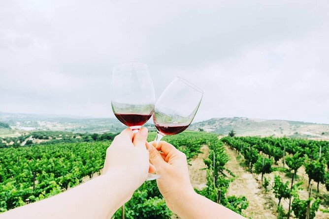 Private Wine Tasting & Lunch @ Lyrarakis Winery - Transfer Inclu - Making the Most of Your Private Tour