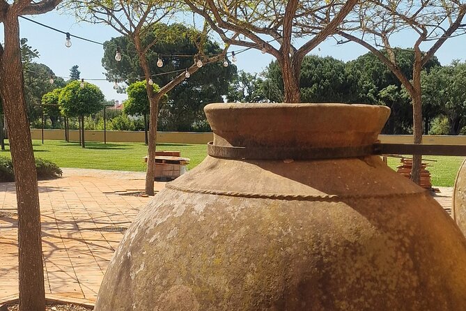 Private Wine Tasting Tour at 2 Wines Setúbal/ Sesimbra - Included Experiences