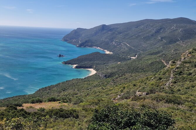 Private Wine Tasting Tour at 2 Wines Setúbal/ Sesimbra - Pickup and Start Time