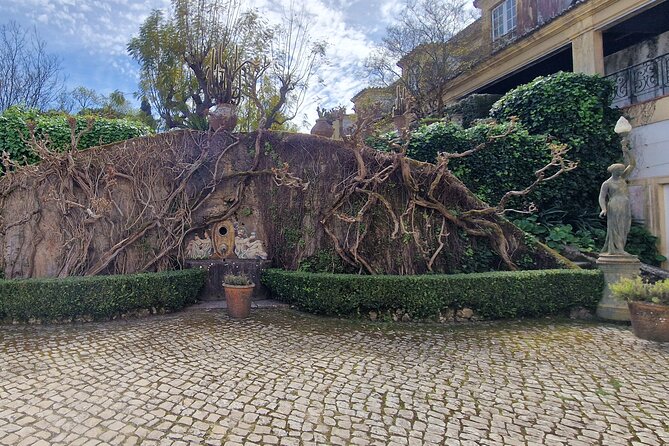 Private Wine Tasting Tour at 2 Wines Setúbal/ Sesimbra - Booking and Confirmation Details