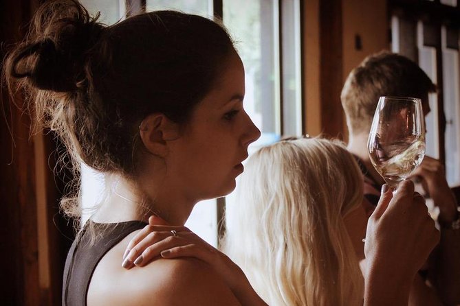 Private Wine Tasting Tour - Côte De Beaune & Côte De Nuits 3 Wineries, 15+ Wines - Reviews and Testimonials