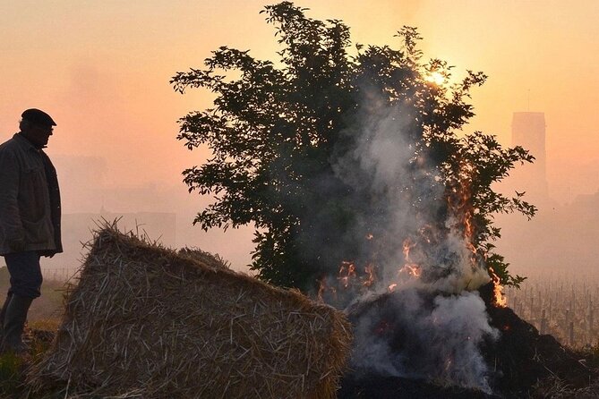 Private Wine Tasting Tour - Côte De Beaune & Côte De Nuits 3 Wineries, 15+ Wines - Discovering the Côte De Nuits
