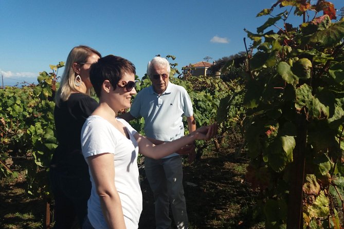 Private Wine Tasting Tour - Customizing Your Wine Tour