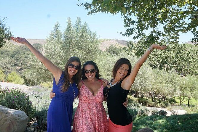 Private Wine Tasting Tour From Santa Ynez, Solvang or Buellton! - The Sum Up