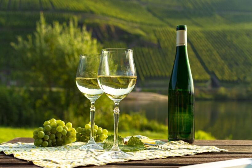 Private Wine Tasting Tour in Munich with a Wine Expert - What to Expect: An In-Depth Look at the Experience