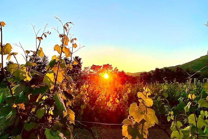 Private Wine Tasting Under The Stars With Sunset Panorama - Inclusions