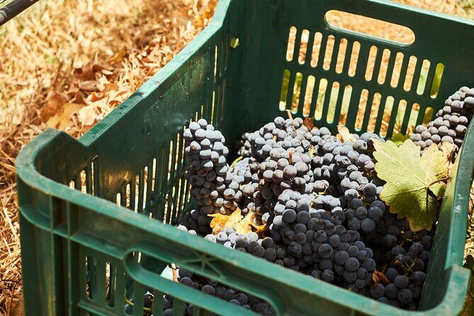 Private wine tasting & wine pairing tours - The Value of This Experience