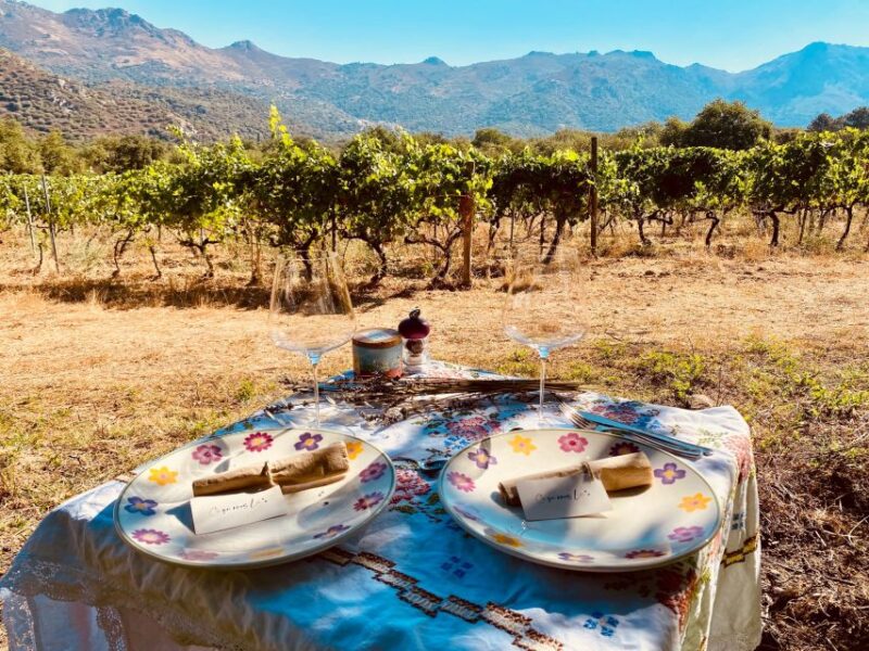 Private wine tastings around Calvi & Île-Rousse - Who Will Love This Tour?