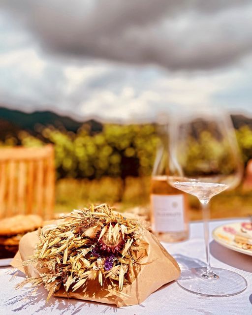 Private wine tour around Ile rousse & Calvi with transport - Key Points in Detail