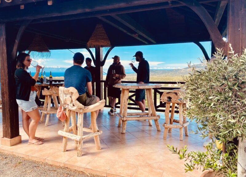 Private wine tour around Ile rousse & Calvi with transport - A Complete Breakdown of the Tour Experience