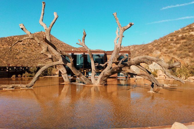 Private Wine Tour at Valle de Guadalupe (A wine tasting included). - Exploring Valle de Guadalupe: What to Expect from the Tour
