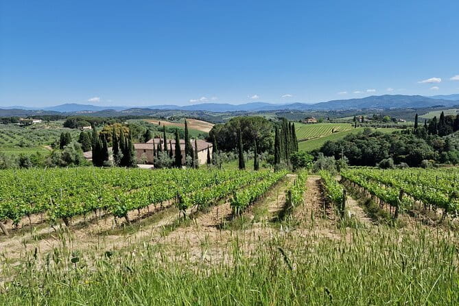 Private Wine Tour best of Chianti Tuscany 6 hours Limo Service - The First Stop: Poggio Amorelli