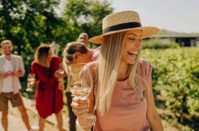 Private Wine Tour for groups up to 6 - The Sum Up