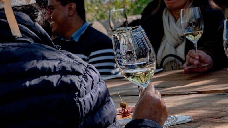 Private Wine Tour from Guanajuato City - An In-Depth Review of the Guanajuato Private Wine Tour