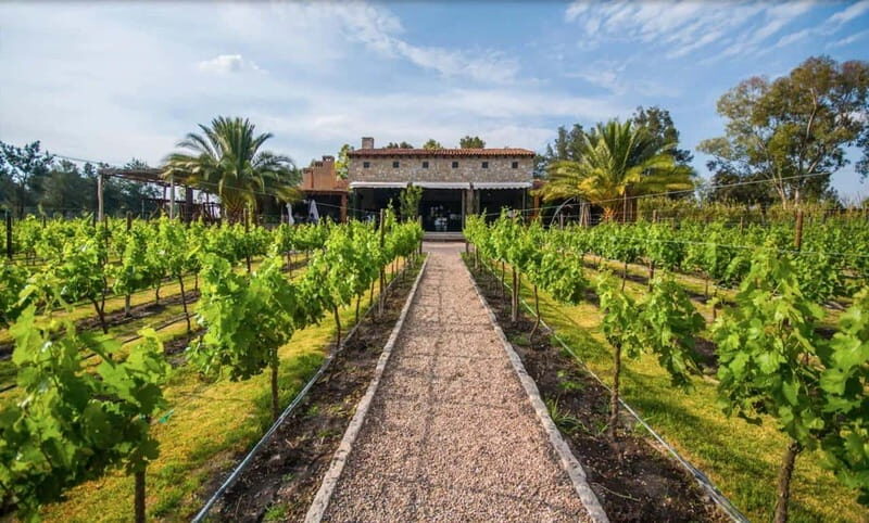 Private Wine Tour from Guanajuato City - Final Words