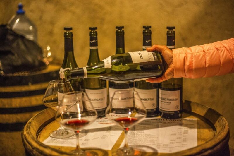 Private Wine Tour in Côte de Nuits and Côte de Beaune - Who Will Love This Tour?