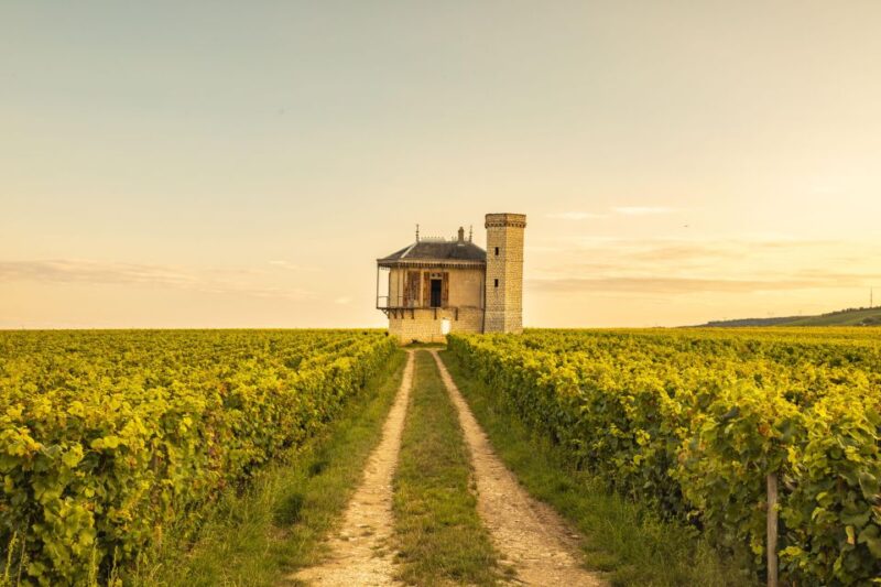 Private Wine Tour in Côte de Nuits and Côte de Beaune - Final Thoughts