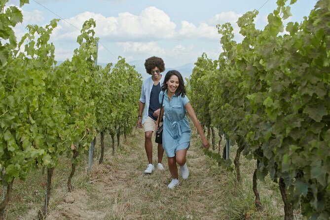 Private Wine Tour in Niagara-on-the-Lake w/ cheese & charcuterie - Exploring the Itinerary: What to Expect