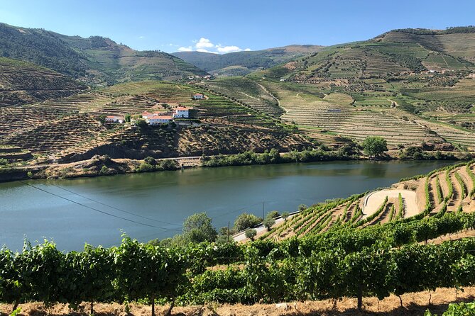 Private Wine Tour in the Douro Valley - Private wine tastings and lunch included - Authentic Experiences and Special Touches