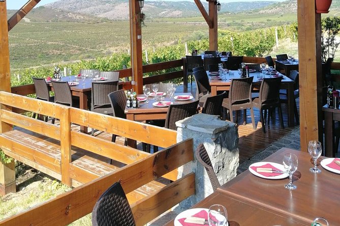 Private Wine Tour of Chateau Sopot Winery From Skopje - Frequently Asked Questions