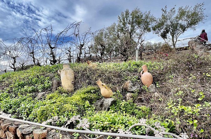 Private Wine Tour of Napa and Sonoma - Is This Tour Right For You?