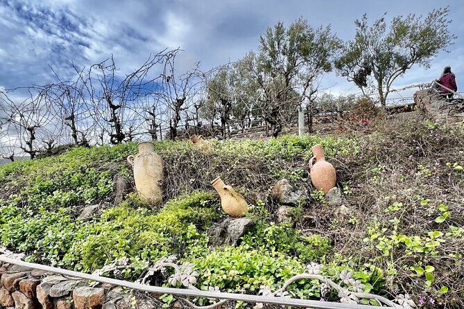 Private Wine Tour of Napa and Sonoma - Final Thoughts