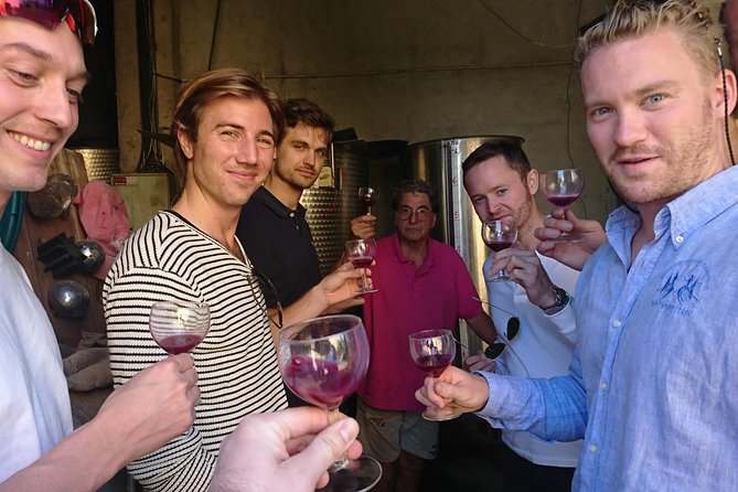 Private Wine Tour of the vineyards on the French Riviera - Who Should Consider This Tour?