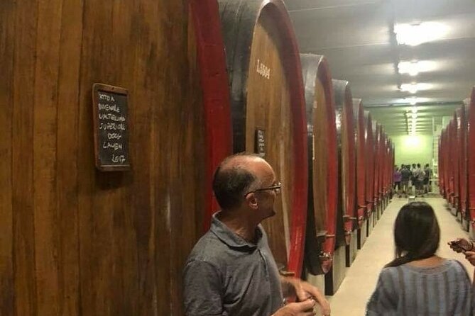 Private Wine Tour: Terraced Vineyards with Alpine view from Milan - Practical Details and Tips