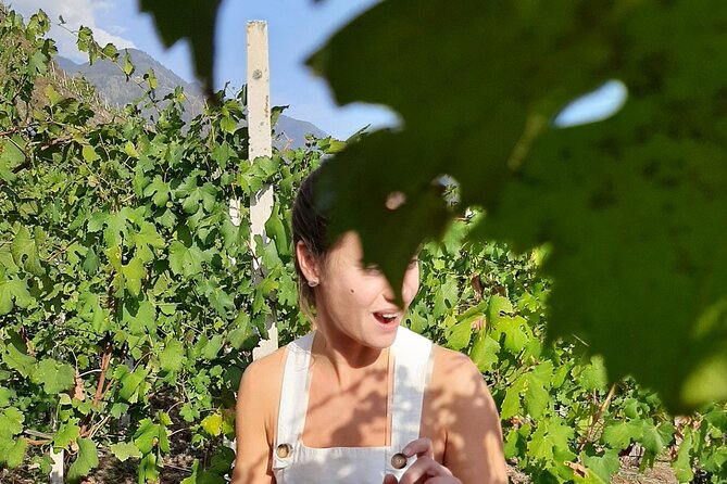 Private Wine Tour: Terraced Vineyards with Alpine view from Milan - FAQ