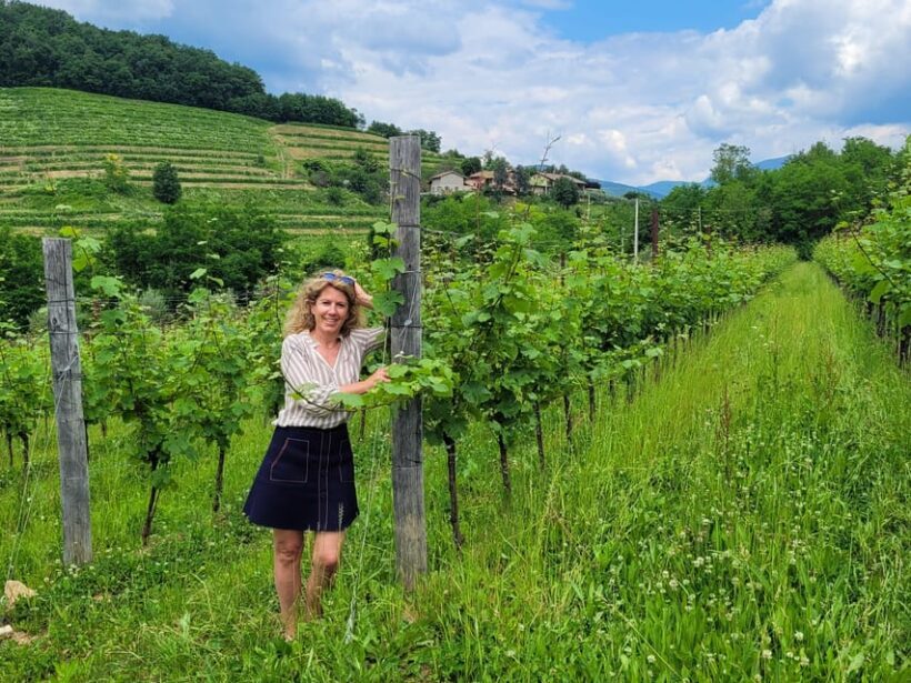Private wine tour to Bordeaux - 2 days - From Paris - An Overview of the Bordeaux Private Wine Tour