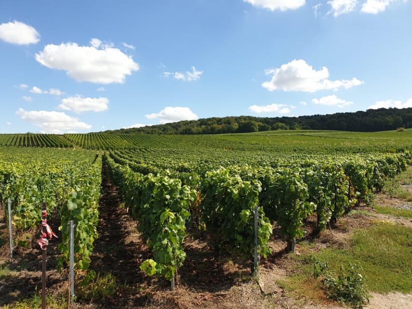 Private wine tour to Bordeaux - 2 days - From Paris - What Makes This Tour Stand Out?