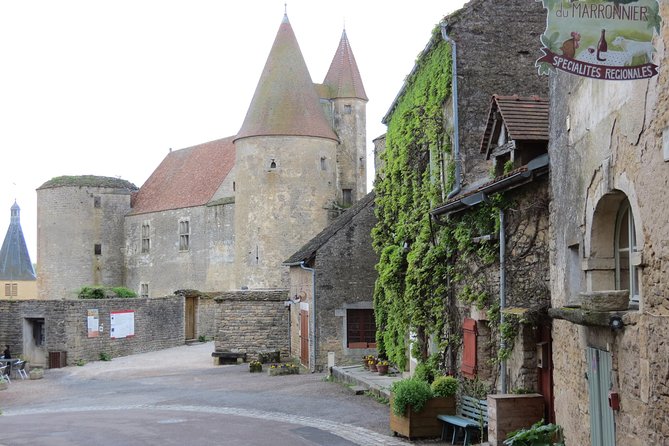 Private Wine Tour to Burgundy Region from Paris - Introduction: A Private Burgundy Wine Day Trip from Paris