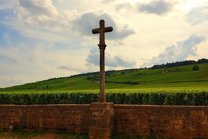 Private Wine Tour to Burgundy Region from Paris - An In-Depth Look at the Burgundy Private Wine Tour