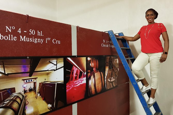 Private Wine Tour to Burgundy Region from Paris - The Value of the Tour