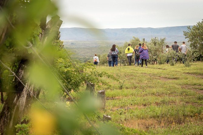 Private Wine Tour to Calamuchita, Córdoba - Argentina - Inclusions and Amenities