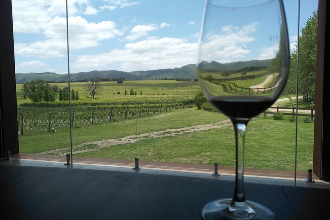 Private Wine Tour to Calamuchita, Córdoba - Argentina - Unparalleled Wine Tasting Journey
