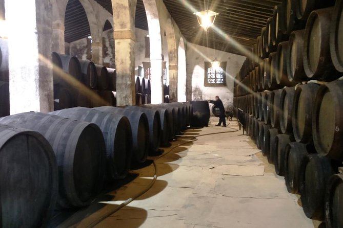 Private wine tour to Jerez de la Frontera - What to Expect on the Tour