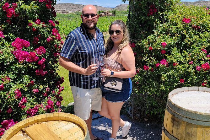 Private Wine Tour, Voted best in town, Tastings Included! - Key Points