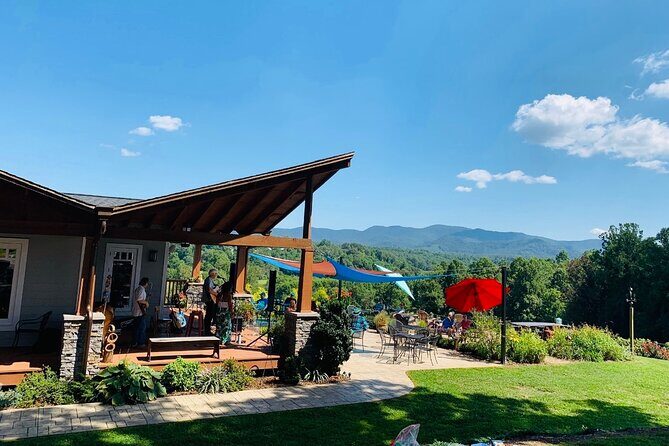 Private Wine Tour with Dine in Black Mountain from Asheville - A Scenic and Tasty Journey through North Carolinas Vineyards and Mountain Towns