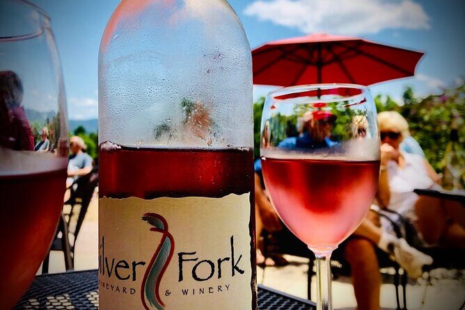 Private Wine Tour with Dine in Black Mountain from Asheville - What Travelers Say: Authentic Insights