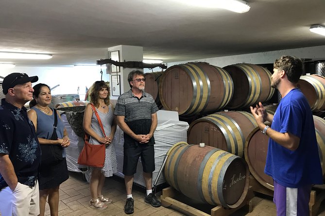 Private wine tour with sommelier - the magical Bolgheri (2 wineries) - Who Should Consider This Tour?