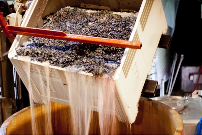 Private Wine Tour with Tastings from Eugene - Key Points