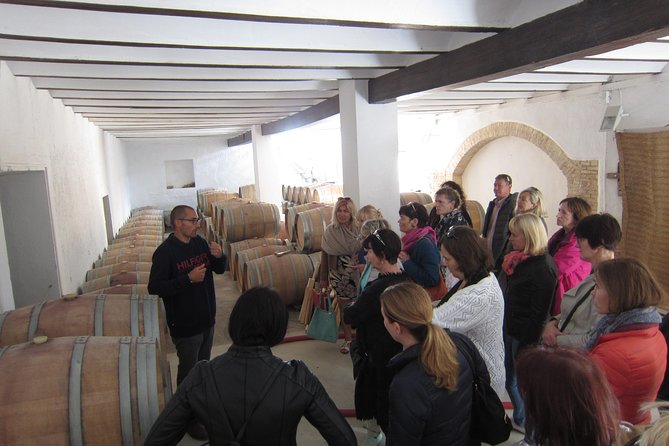 Private Wine Tour With Wine Tasting and Full Lunch - Personalized and Flexible Tour Arrangements